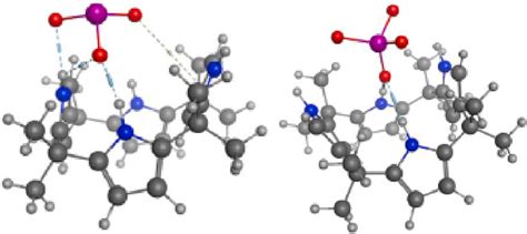 Arsenite and Arsenate complex with the receptor (5). This Figure was ...