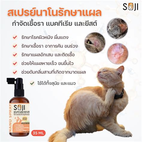 ใช้ดี เห็นผลเร็วมาก Soji สเปรย์นาโนซิลเวอร์ สำหรับโรคผิวหนังสุนัข แมว