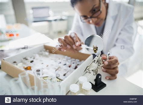 Examining Specimen Under Microscope At Timothy Simpson Blog