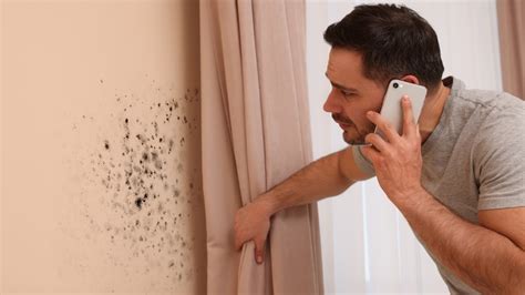 No You Cant Get A Mold Detector But Heres What Might Help