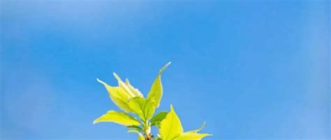 心的工作与生活就是没有浪费的人生中医与健康的对话连载19 节目 传统 简介