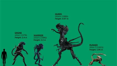 Evolution Of Alien Xenomorph 1979 2017 Size Comparison Youtube