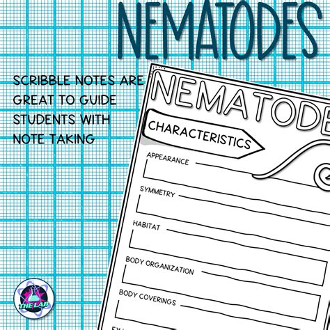 Nematode Scribble Notes Teaching Resources