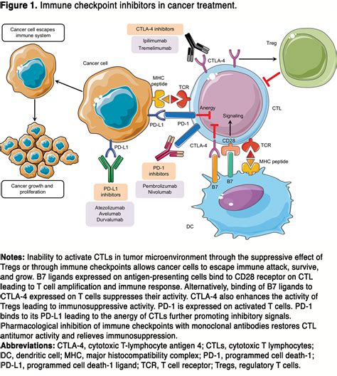 Gastric Cancer Nccn