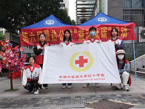 我校荣膺志愿汇“益动低碳”优秀组织 团委
