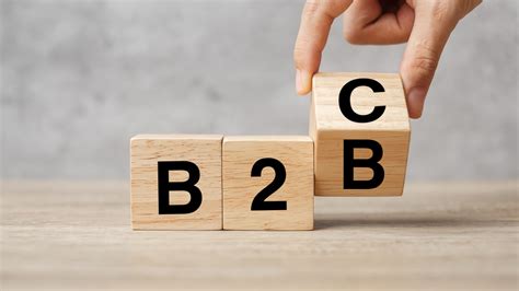 dezvoltare website b2b b2c pe platforma cms custom instatic