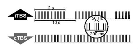 Figure 1 From Plasticity Induction And Modulation Of The Human Motor