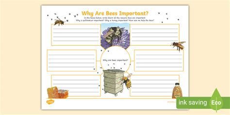 Ks2 Why Are Bees Important Mind Map Hecho Por Educadores