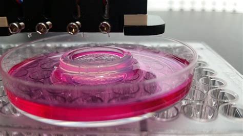 Engineering Faculty Member Receives Grants Totaling 1 5m For