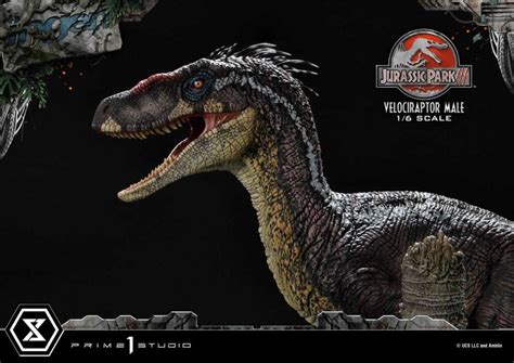 Legacy Museum Collection Jurassic Park Iii Film Velociraptor Male 16