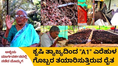 Vermi Compost Making Garden Purpose Vermi Compost Organic Compost Verms