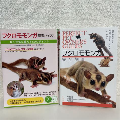 【傷や汚れあり】フクロモモンガ飼育バイブル フクロモモンガ完全飼育の2冊セットで！の落札情報詳細 ヤフオク落札価格検索 オークフリー