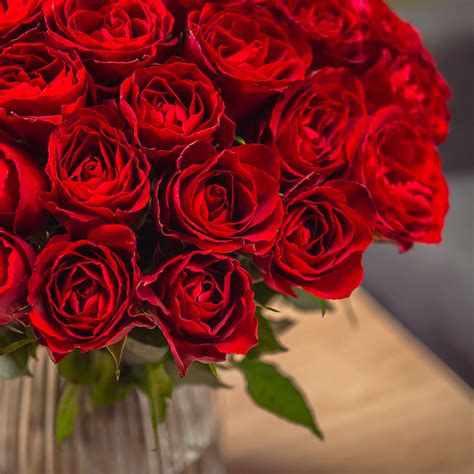 50 Rote Rosen