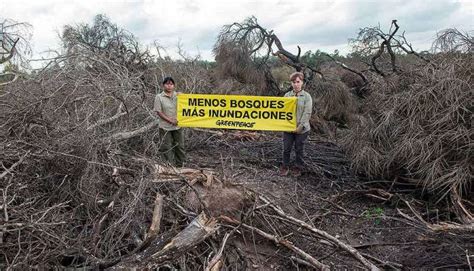 Greenpeace Denunció Ante La Corte Suprema Un Aumento De La