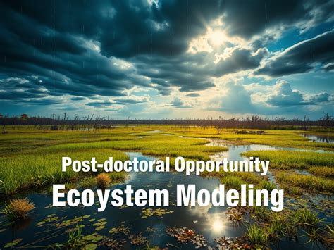 Postdoctoral Opportunity Ecosystem Modeling At Mississippi