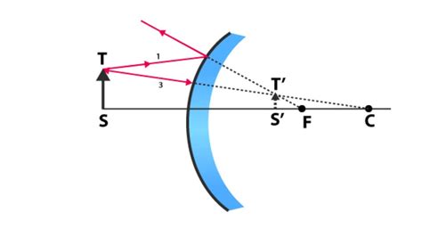 Convex Mirrors Class 10 Notes At George Bousquet Blog