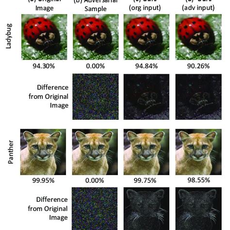 The Effectiveness Of Removing Adversarial Noise By Our Proposed Method