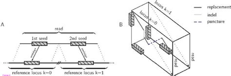 A Multi Split Mapping Algorithm For Circular Rna Splicing Trans