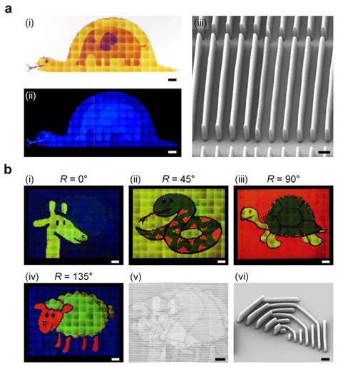 hidden color information revealed through oblique incidence and varying
