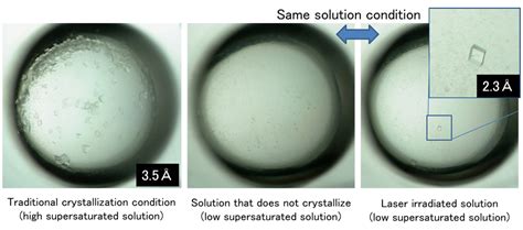 Protein Crystallization And Structural Analysis Custom Services