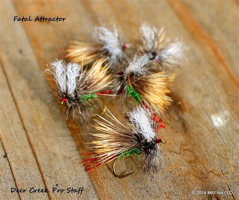 Attractor Pattern Flies