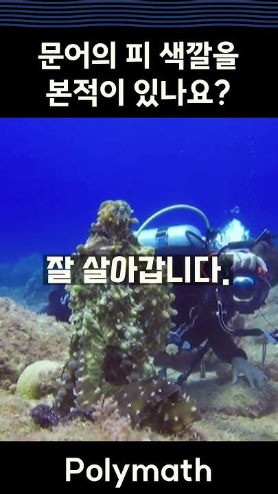 문어의 피 색깔을 본 적이 있나요 Youtube