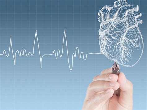 医学考研西医综合生理学笔记——肌肉收缩