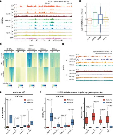 CBP P300 And HDAC Activities Regulate H3K27 Acetylation Dynamics And