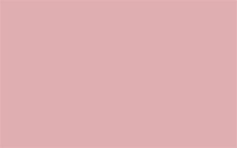 2880x1800 Pale Chestnut Solid Color Background