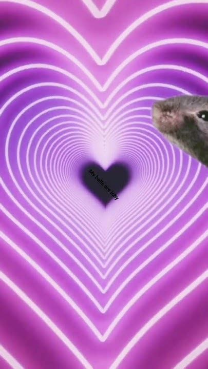 Twin Where Have You Beennnnnnn Rat Discord Profile Youtube