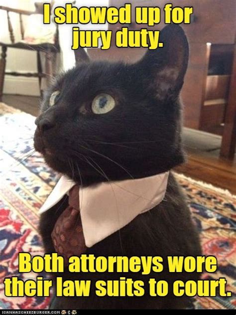 Objection Lolcats Lol Cat Memes Funny Cats Funny Cat Pictures With Words On Them