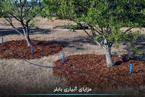 سیستم آبیاری بابلر چیست ؟ مزایا و معایب آبیاری بابلر طراح گستر آب آرا