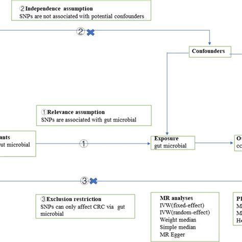 Schematic Diagram Of The Present Mendelian Randomization Study