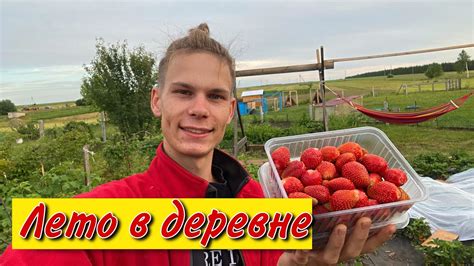 Отёл Коровы🐮 Пополнение за пополнением на ферме👩‍🌾 Цыплята Индоутята
