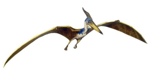 The Lost World Jurassic Park Pteranodon Render By Ratrunner2006 On