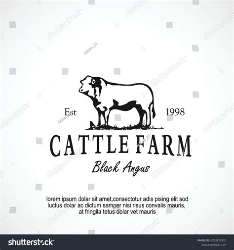 Black Angus Cattle Farm Logo Design Stock Vector Royalty Free