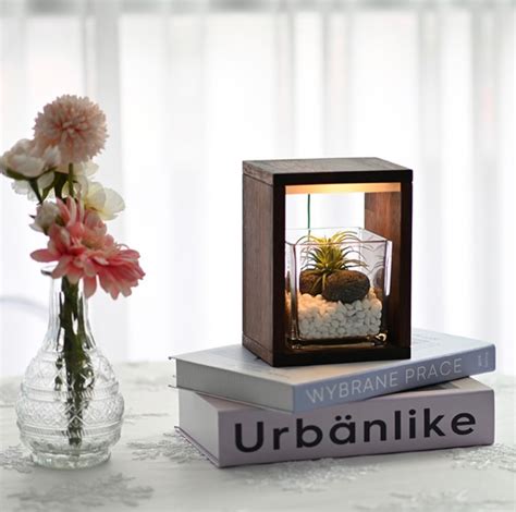 우드 플랜테리어 테라리움 무드등 Diy 키트 엑셀로 메이커스