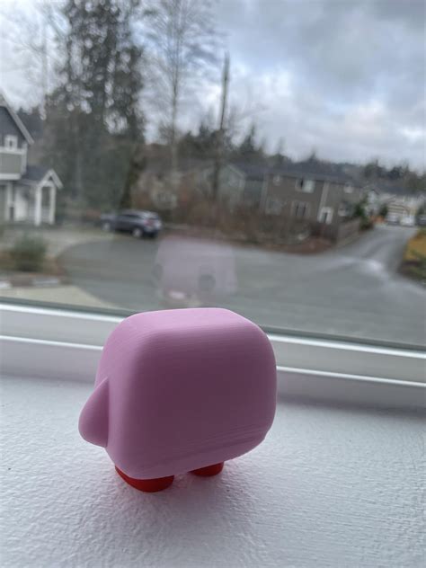 I Love This Lil Guy Rkirby