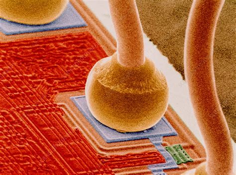 Coloured Sem Of Integrated Circuit Micro Wires Stock Image T370