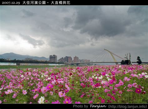 Tanjun Flickr