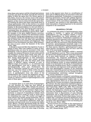 Spermatogenesis In Nonmammalian Vertebrates PDF