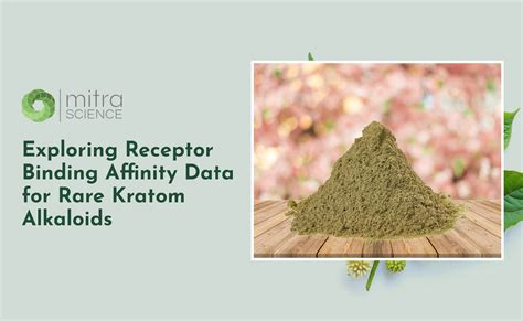 Exploring Receptor Binding Affinity Data For Rare Kratom Alkaloids