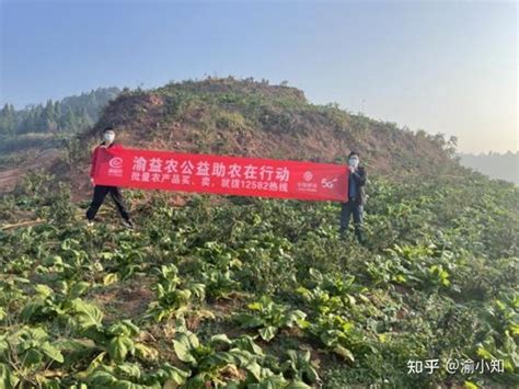 蔬菜直销，重庆移动战疫助农有妙招 知乎