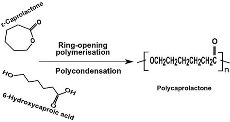 Electrospun Polycaprolactone Nanofibers Current Research And Applications In Biomedical