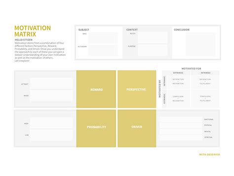 Motivation Matrix Meta Observer