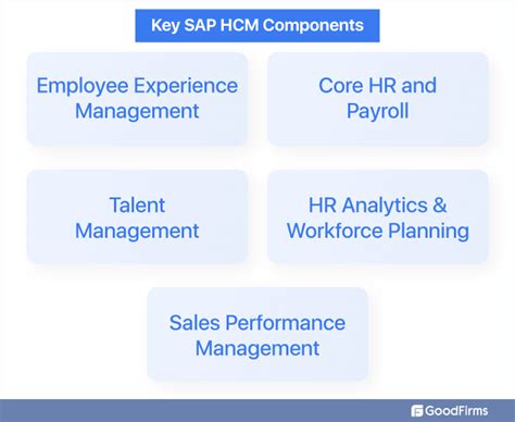 A Comprehensive Review Of Popular Sap Products By Goodfirms