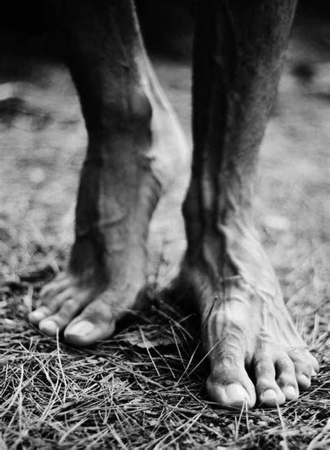 Angel Poveda Feet