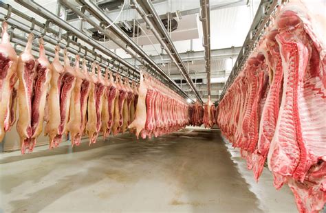 Influência Do Manejo Pré Abate Na Ocorrência De Fraturas Em Colunas De