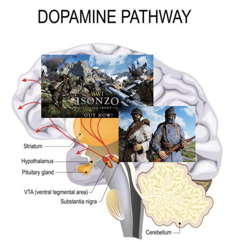 Dopamine Drip Rww1gameseries