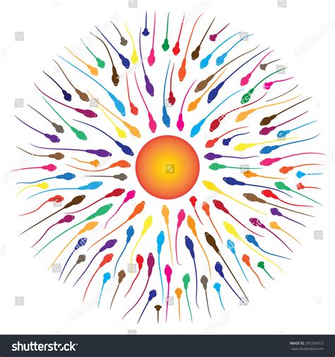 Illustration Sperms Egg Human Fertilization Process Stock Vector Royalty Free 297256913